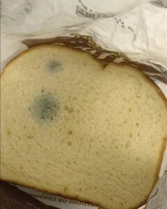 🍞 Can You Eat Moldy Bread? What You Need to Know About Food Safety ...